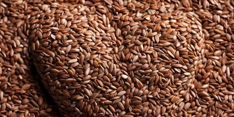 4 FAQs About Lignans Role In Heart Health | Linwoods Health Foods
