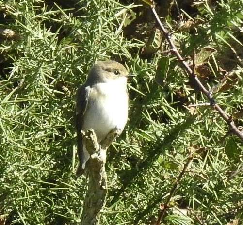 PLYMOUTH BRANCH'S VISIT TO EAST SOAR ON MONDAY 22 SEPTEMBER 2025 ...