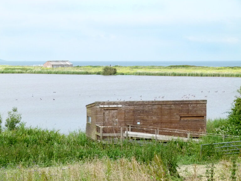 Beesands Ley - Devon Birds