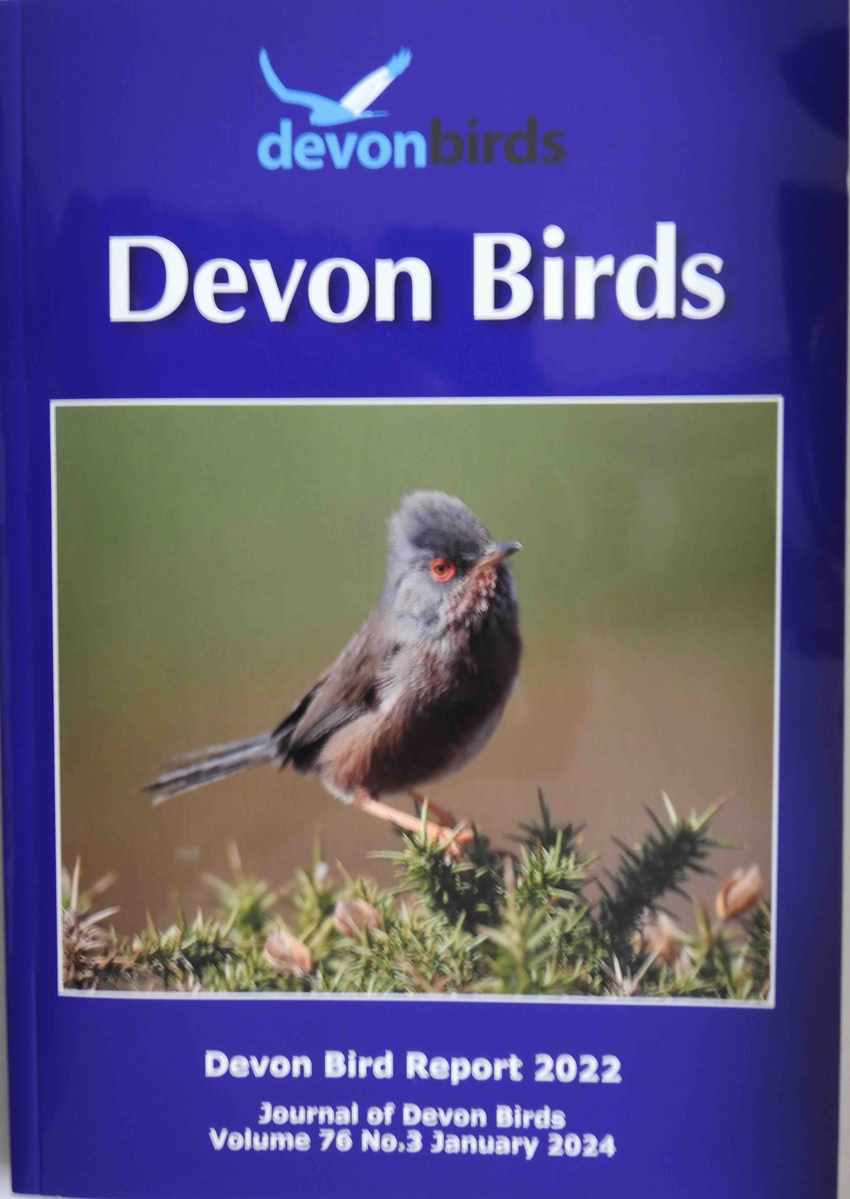 Shop - Devon Birds