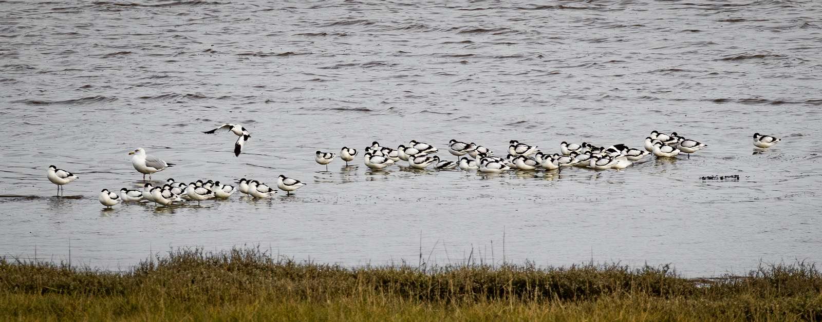 PLYMOUTH BRANCH'S VISIT TO ST JOHN'S LAKE, TORPOINT AND WACKER QUAY ON ...