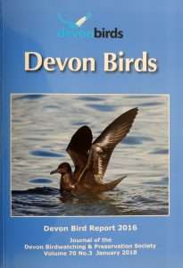Past Devon Bird Reports - Devon Birds