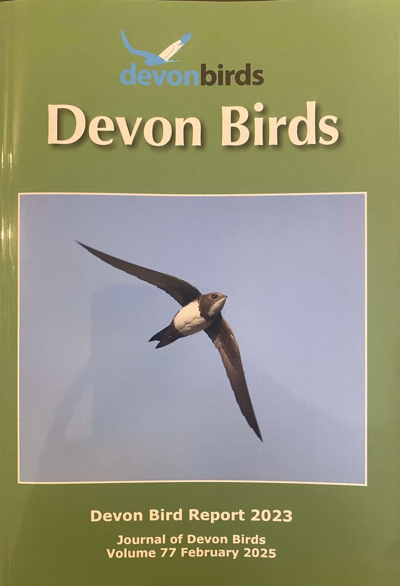 Devon Bird Report 2023 - Devon Birds