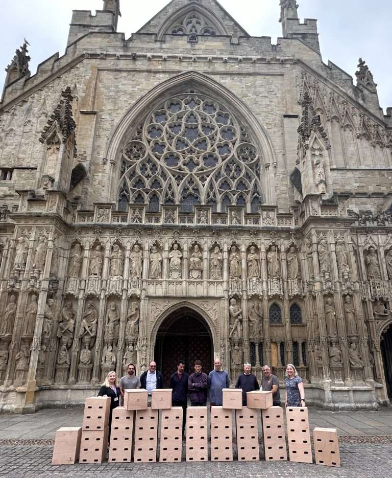 Devon Birds - Events - Devon Birds