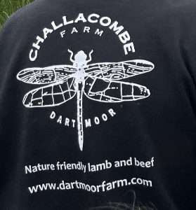 Events News & Writeups - Devon Birds