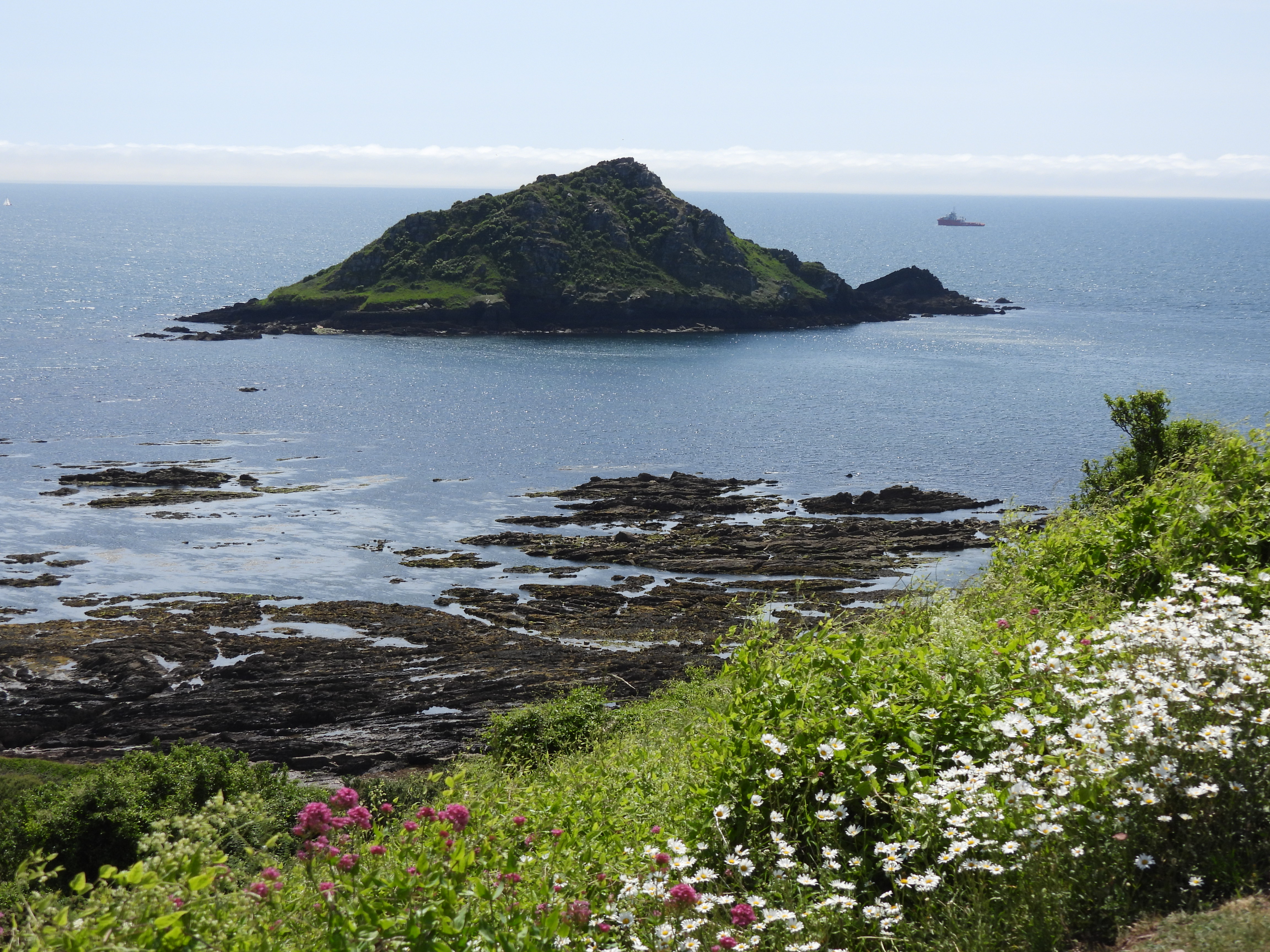 PLYMOUTH BRANCH'S VISIT TO WEMBURY POINT ON WEDNESDAY 11 JUNE 2025 ...