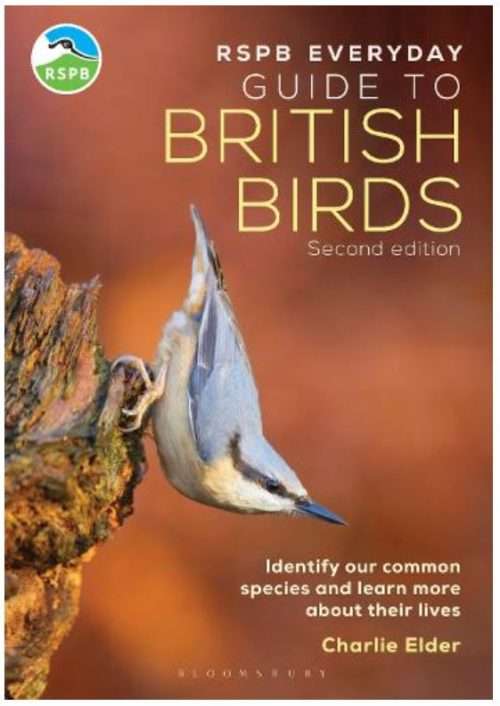 Devon Birds - Events - Devon Birds