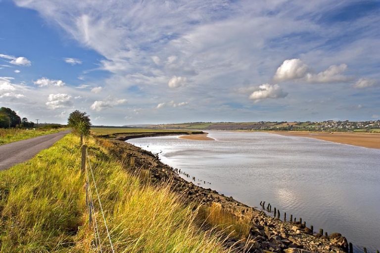 Taw/Torridge Estuary - Devon Birds