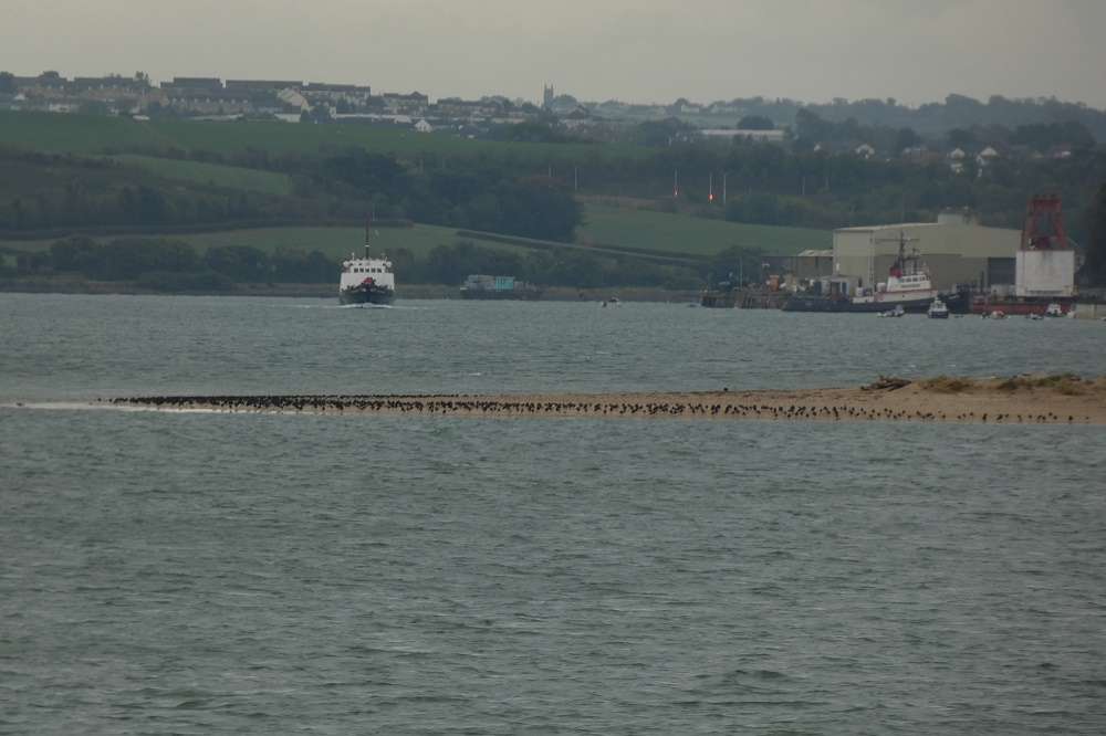 Crow Point, Fishermen huts & Caen Estuary - Devon Birds