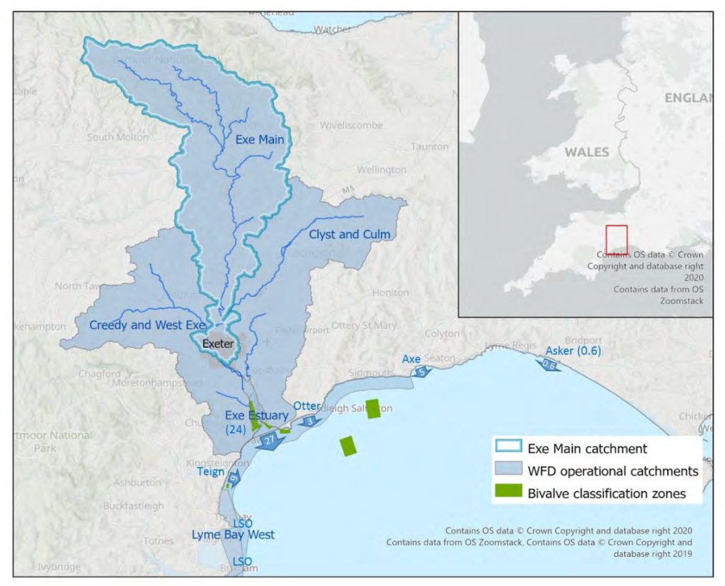 Exe Health – Friends of the River Exe