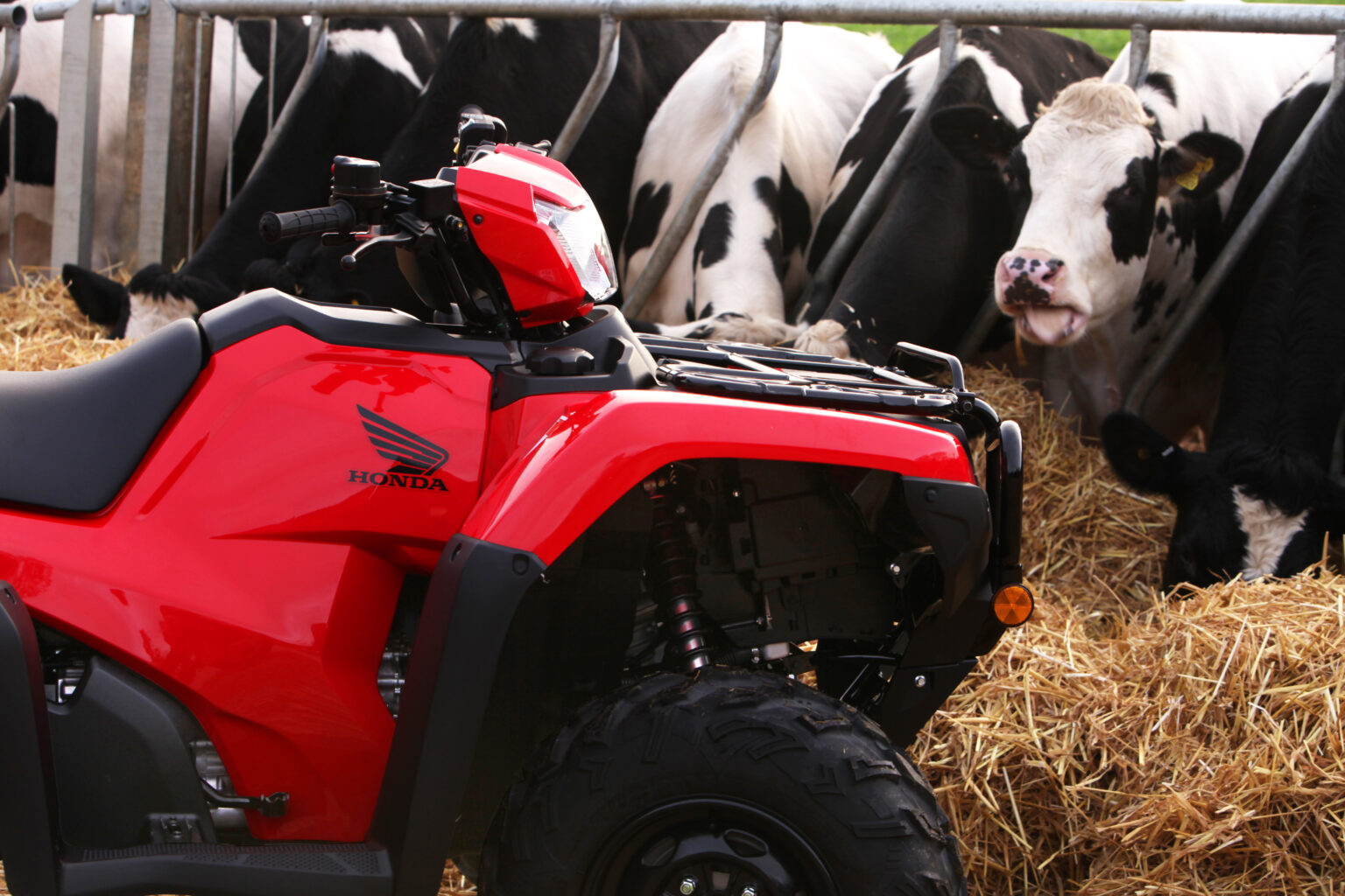 Honda Foreman TRX520FA6 ATV Quad Bike - Martin Pears Engineering ...