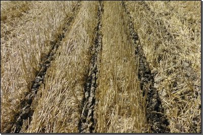 Cousins of Emneth - 3m V-Form Plus Micro-Wing - Martin Pears ...