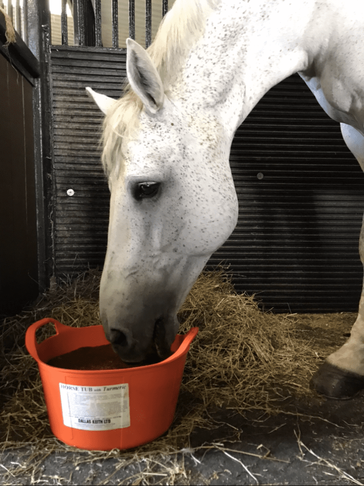 Dallas Keith Equine Digestion Flexi Tub - Martin Pears Engineering ...