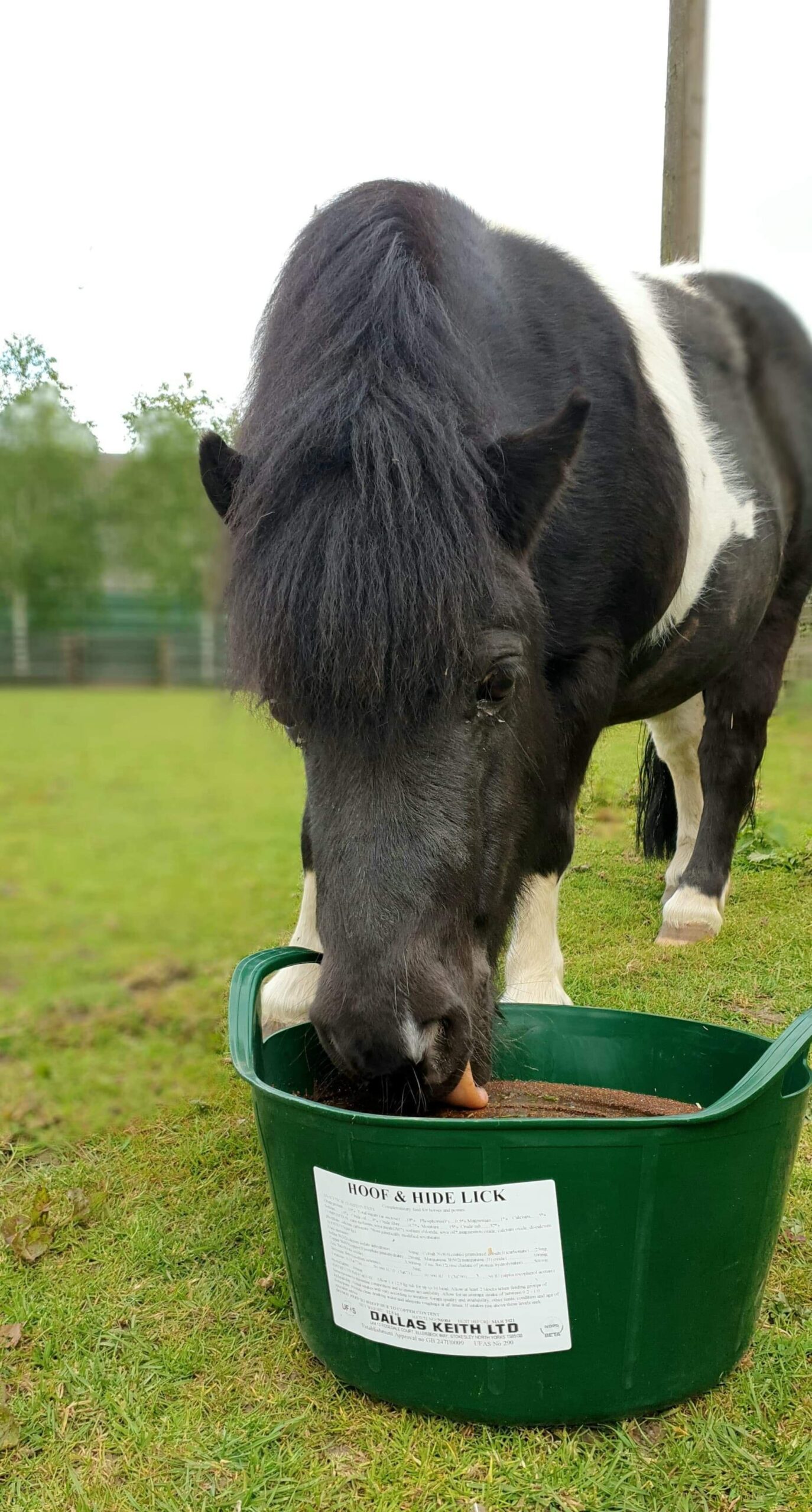 Dallas Keith Equine Garlic Flexi Tub - Martin Pears Engineering ...