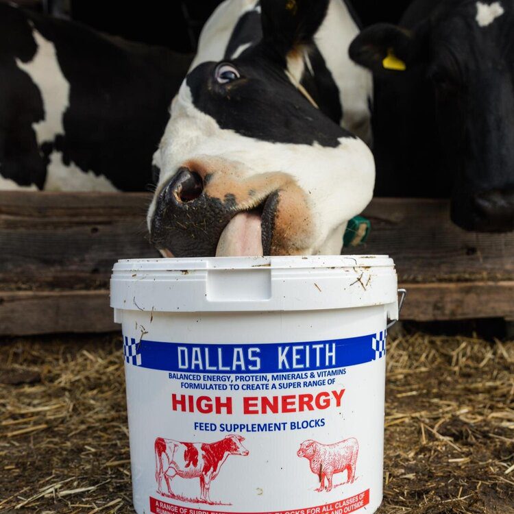 Dallas Keith Hi Energy - Martin Pears Engineering » Martin Pears ...