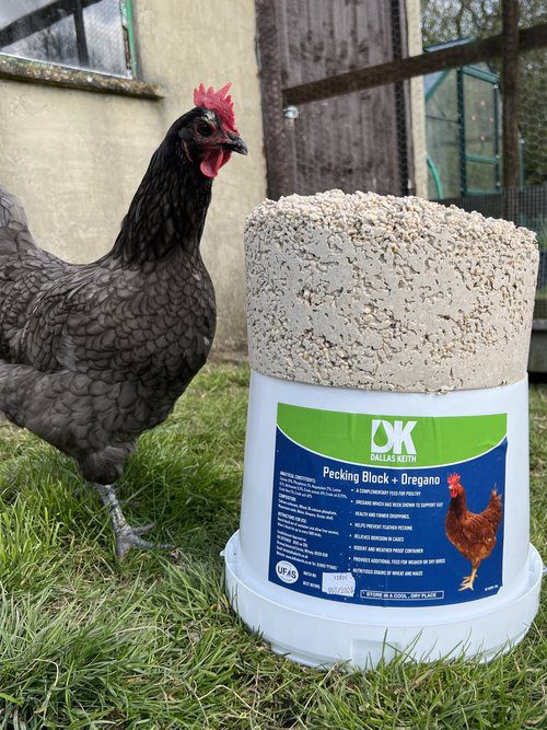 Dallas Keith Pecking Block 10kg - Martin Pears Engineering » Martin ...