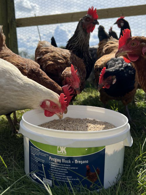 Dallas Keith Pecking Block 3kg - Martin Pears Engineering » Martin ...