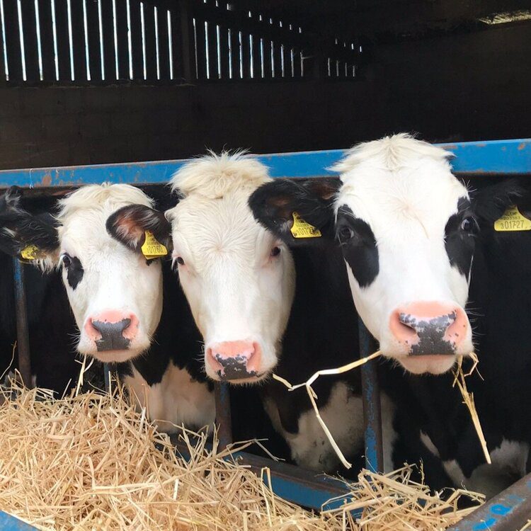 Dallas Keith Archives - Martin Pears Engineering » Martin Pears Engineering