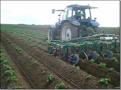 Cousins of Emneth - Disc Ridger - Martin Pears Engineering » Martin ...