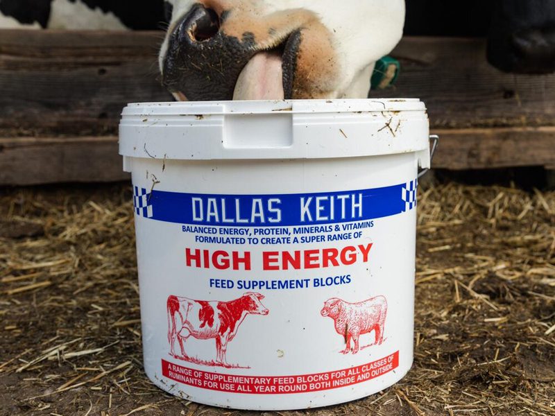 Dallas Keith Dry Stock - Martin Pears Engineering » Martin Pears ...