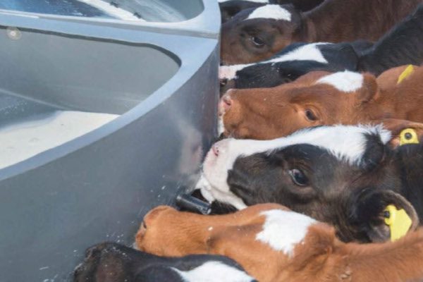 New in - Provimi Calf Milk Replacer - Martin Pears Engineering » Martin ...