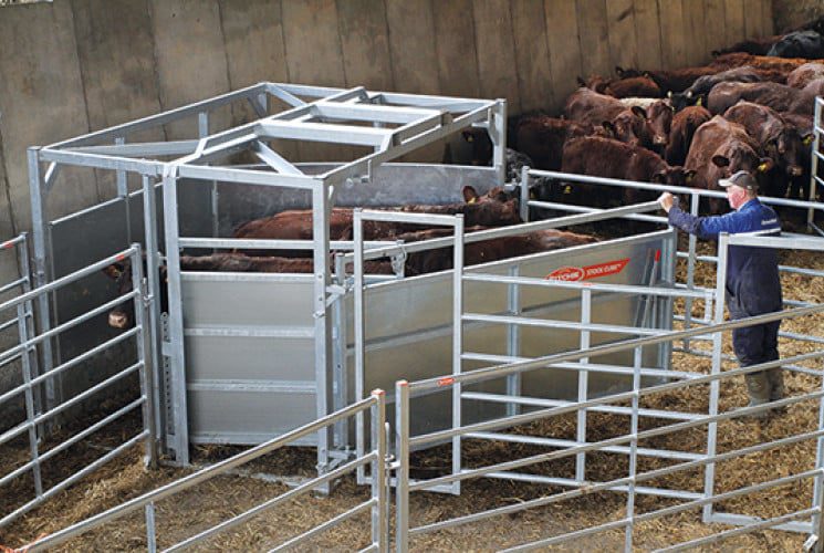 Ritchie Cattle Systems - Martin Pears Engineering » Martin Pears ...