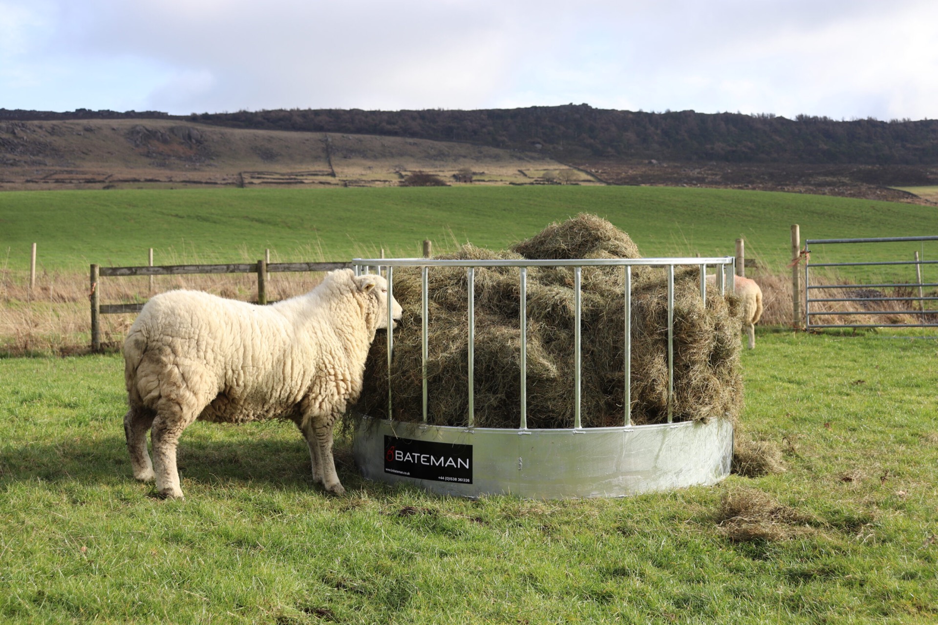 Bateman Sheep Feeding - Martin Pears Engineering » Martin Pears Engineering